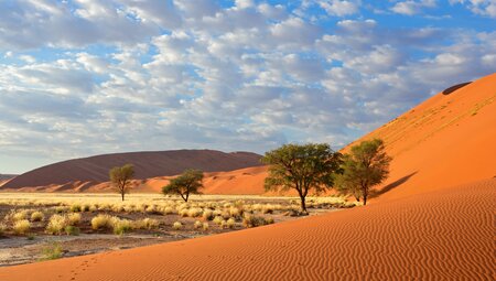 Urlaub in Namibia online buchen bei ASI Reisen Urlaub in Namibia online buchen bei ASI Reisen