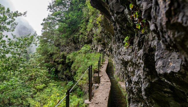 Madeira individuell - der Levada Trek - individuelle Trekkingreise