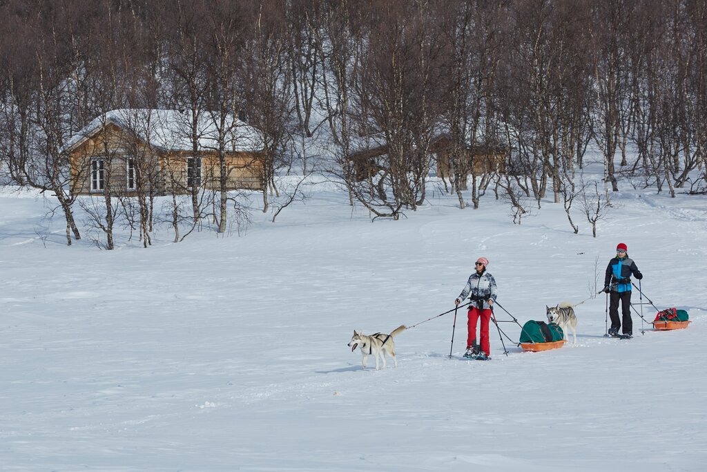 Huskytrekking in Lappland - Huskytouren