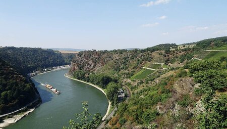 Rheinsteig: Etappen, Höhenmeter & weitere Infos