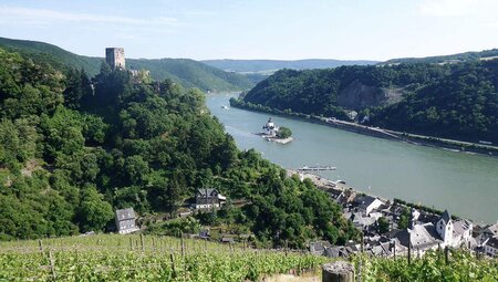 Rheinsteig: Etappen, Höhenmeter & weitere Infos