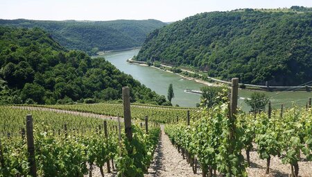 Rheinsteig: Etappen, Höhenmeter & weitere Infos