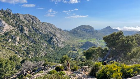 GR 221: Etappen, Höhenmeter & weitere Infos