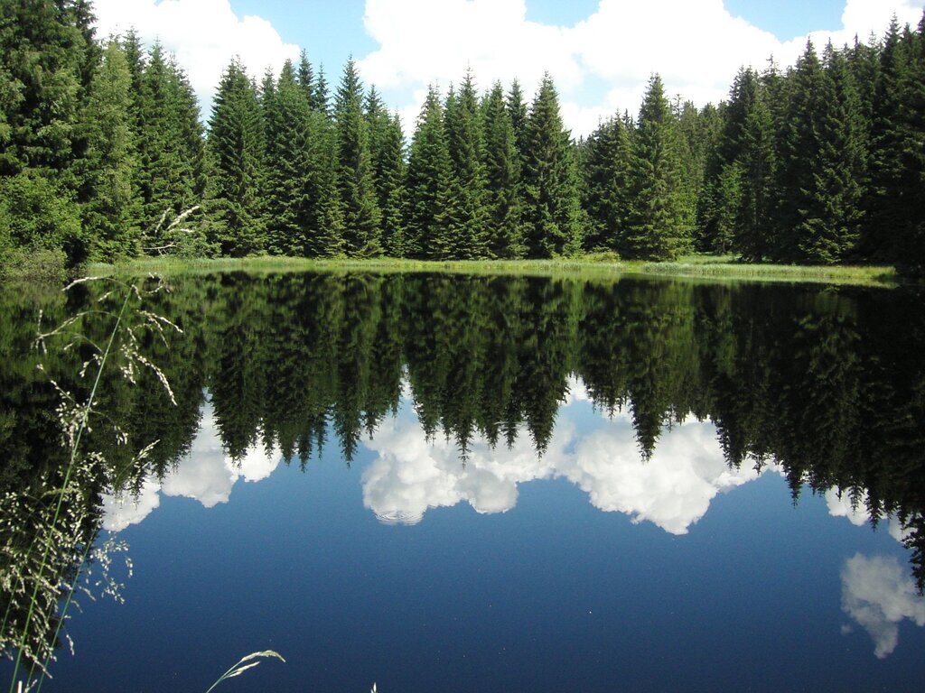 Deutschlands ursprüngliche Wildnis - der Nationalpark Bayerischer Wald ...