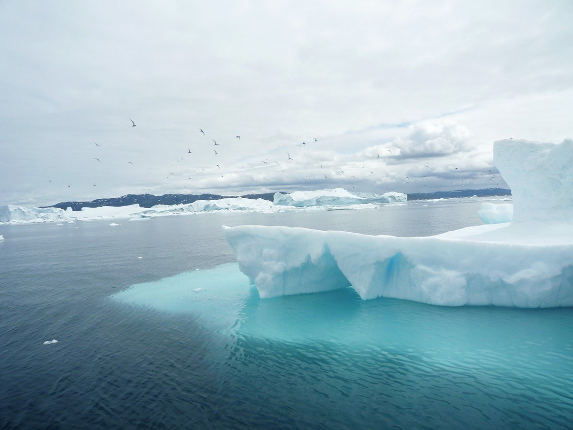 Reisebericht: Wandern Westgrönland - Gletscher, Fjorde, Inlandeis