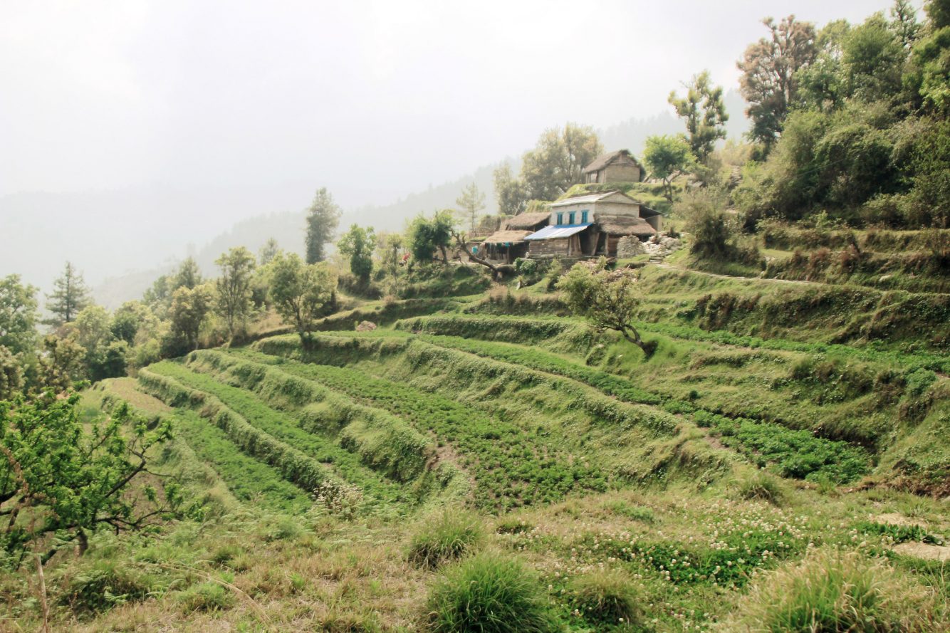 Community Trek in Nepal: Linda berichtet - Blog ASI Reisen