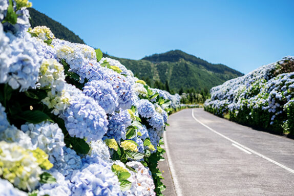 Sehenswürdigkeiten der Azoren: 9 Inseln & Highlights