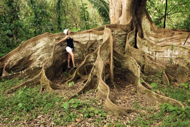 6 wichtige Infos für eure gelungene Costa Rica Rundreise - ASI Blog