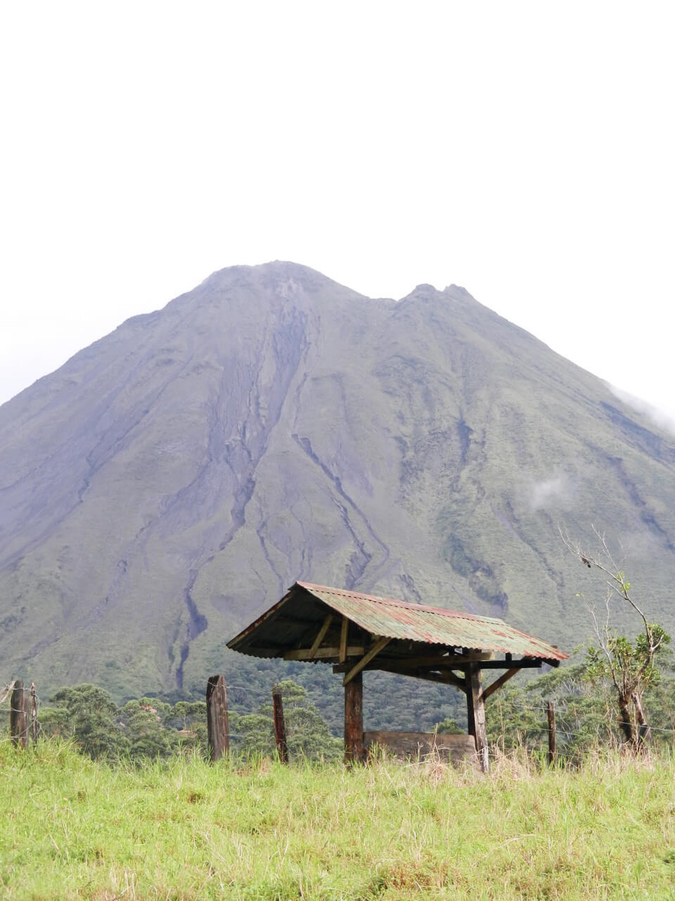 Reisebericht: Sandra in Costa Rica - Blog ASI Reisen