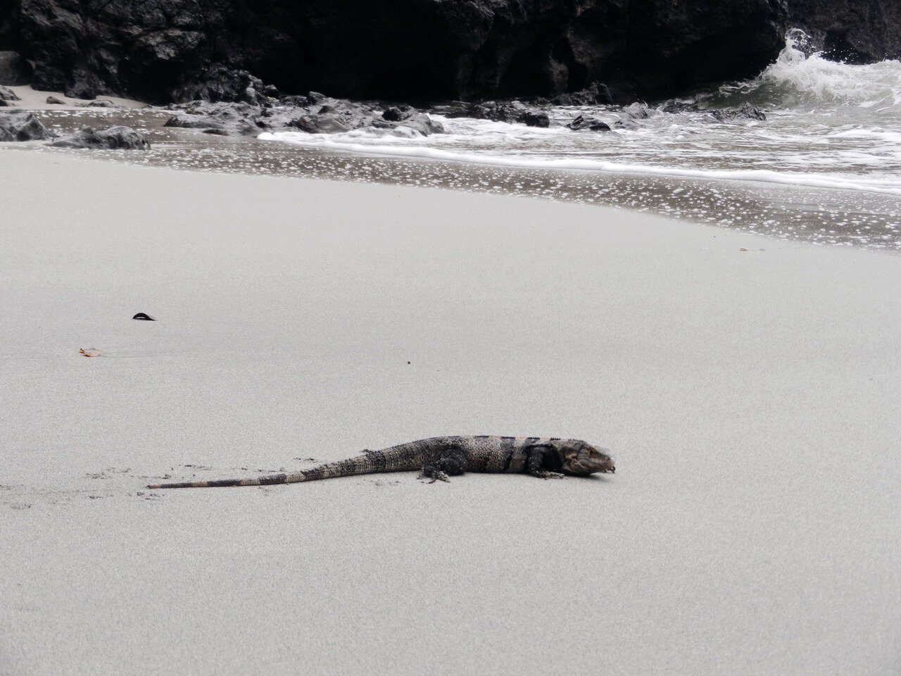 Reisebericht: Sandra in Costa Rica - Blog ASI Reisen