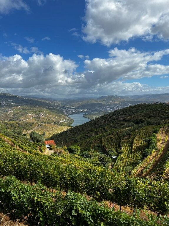Reisebericht: Wandern & Kulinarik im Douro Tal - Blog ASI Reisen