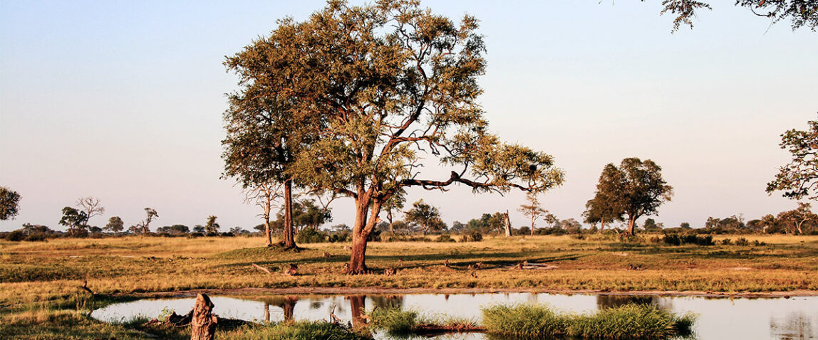 Top 7 Sehenswürdigkeiten in Simbabwe - Blog ASI Reisen